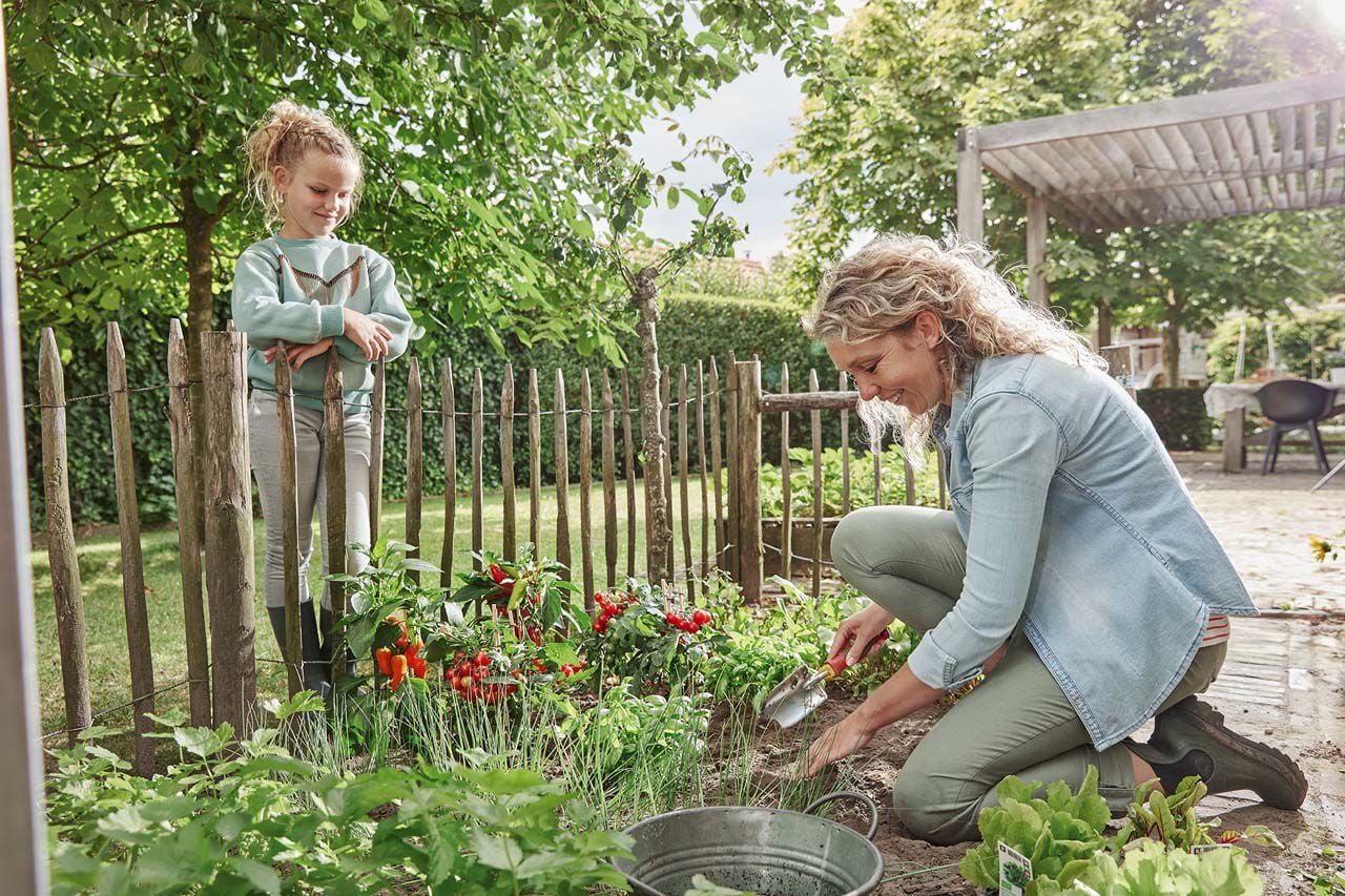 Moestuin met kinderen - Welkoop