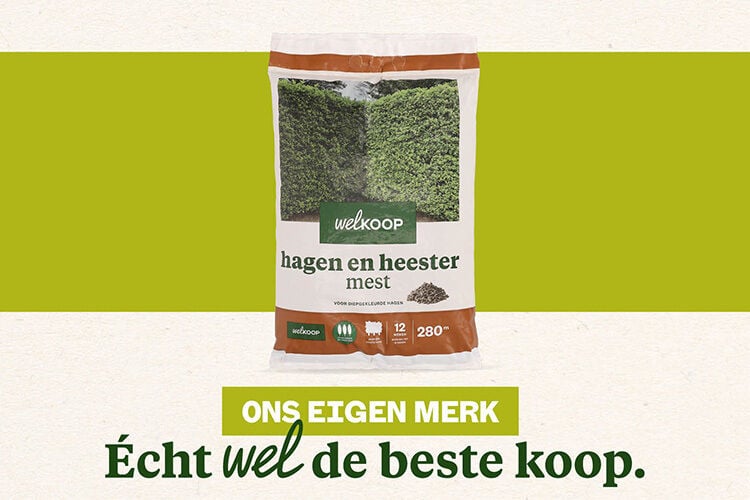 Beukenhaag bemesten? Zo doe je dat - Welkoop
